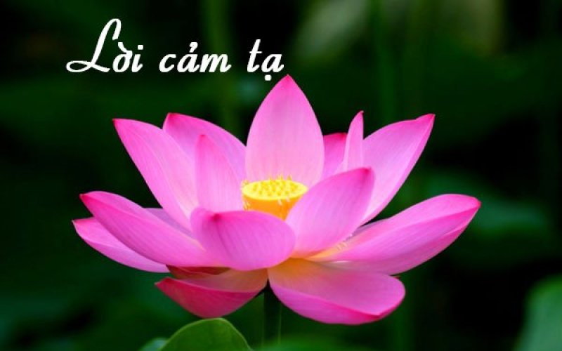 Cảm tạ - Binh Phuoc, Tin tuc Binh Phuoc, Tin mới tỉnh Bình Phước
