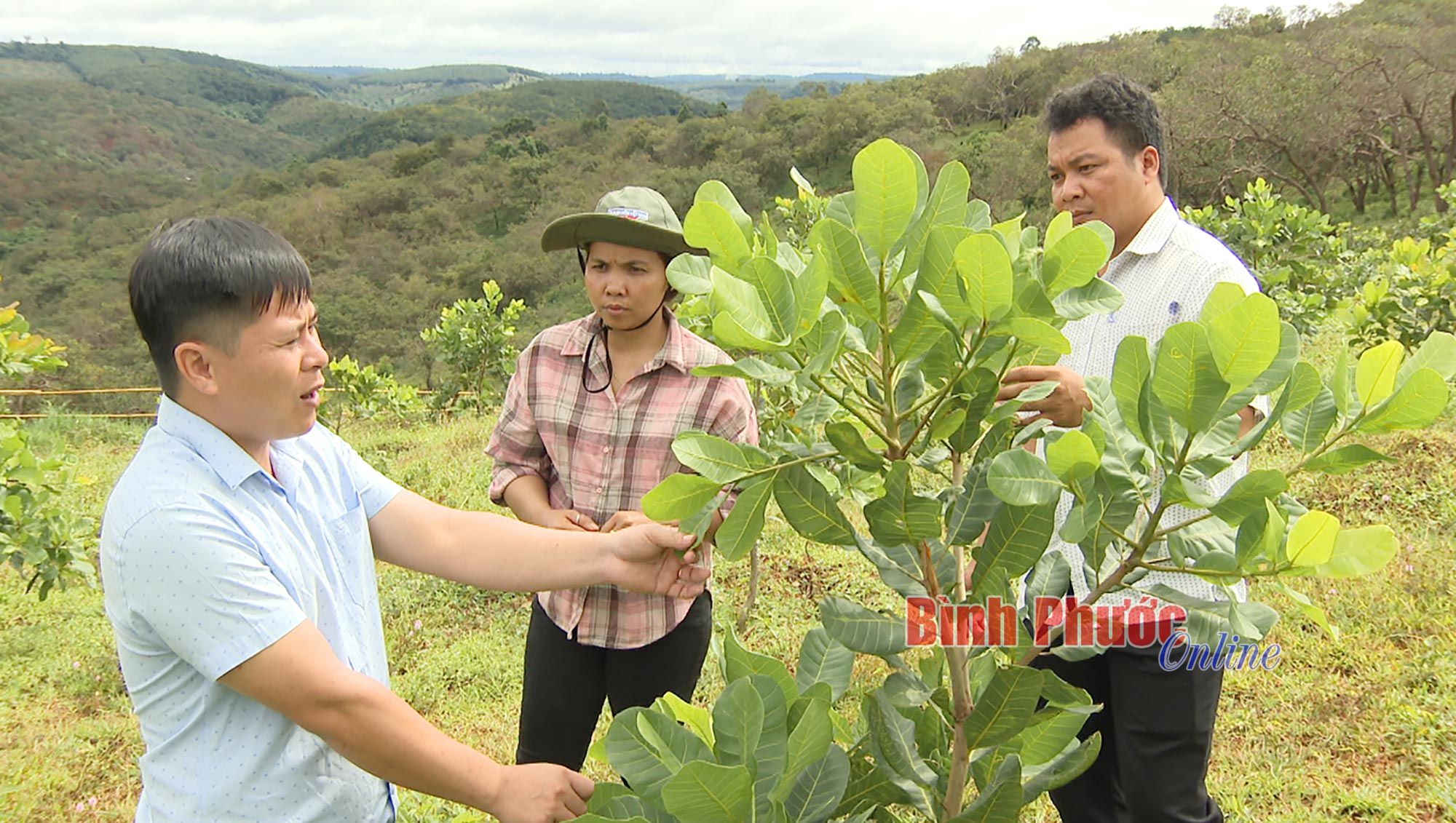 Khi phụ nữ dám nghĩ, dám làm - Binh Phuoc, Tin tuc Binh Phuoc, Tin mới ...