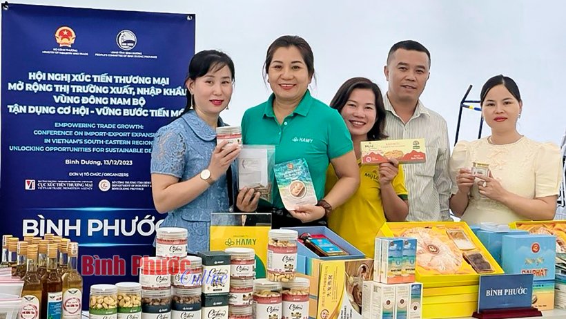 Công ty Hà Mỵ chú trọng chế biến sâu các sản phẩm điều - Binh Phuoc ...