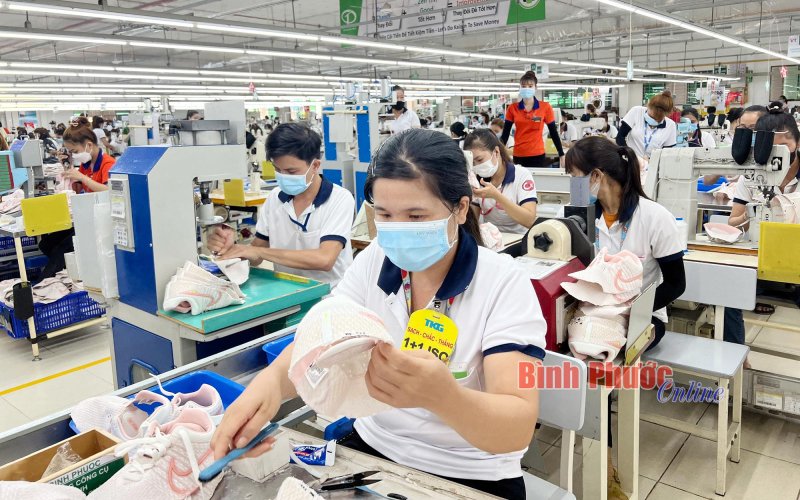 “Vườn ươm” doanh nghiệp FDI - Binh Phuoc, Tin tuc Binh Phuoc, Tin mới ...