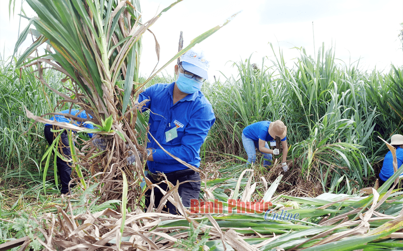 Thanh niên Bù Đốp - khát vọng xây dựng quê hương - Binh Phuoc, Tin tuc Binh Phuoc, Tin mới tỉnh ...