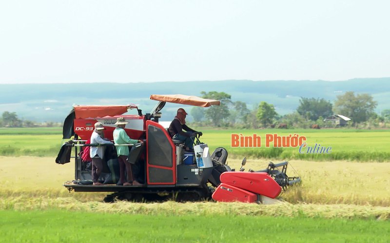 Cơ giới hóa sản xuất lúa nước - Binh Phuoc, Tin tuc Binh Phuoc, Tin mới ...