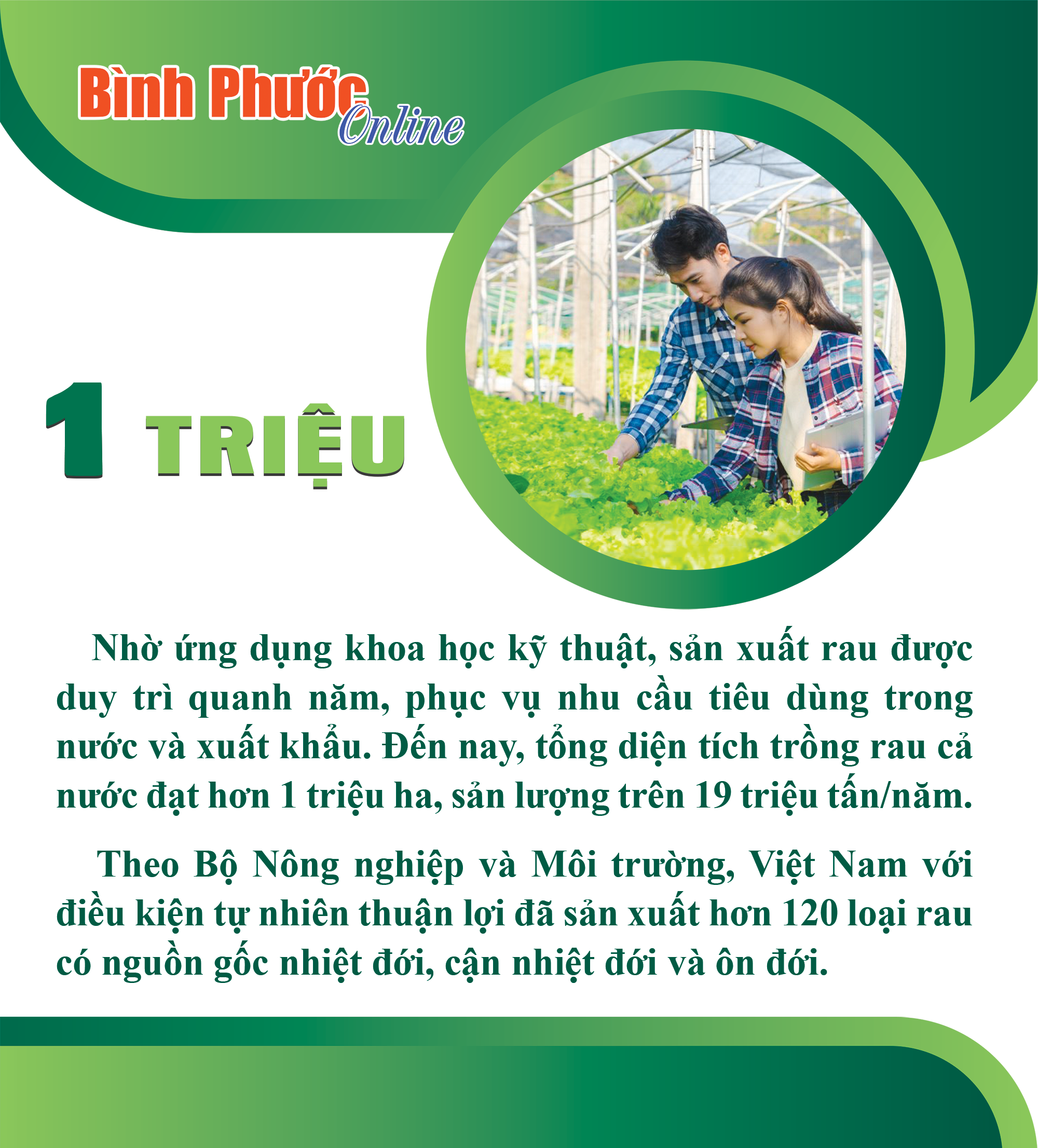 Tổng diện tích trồng rau cả nước đạt hơn 1 triệu ha - Binh Phuoc, Tin ...