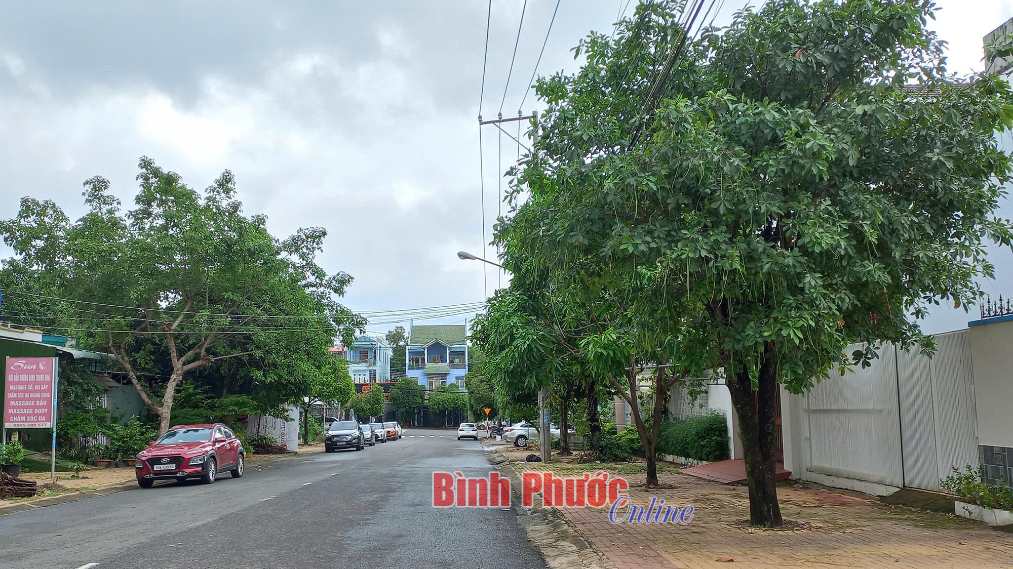 Tăng cường bảo đảm an toàn trong quản lý cây xanh đô thị - Binh Phuoc ...